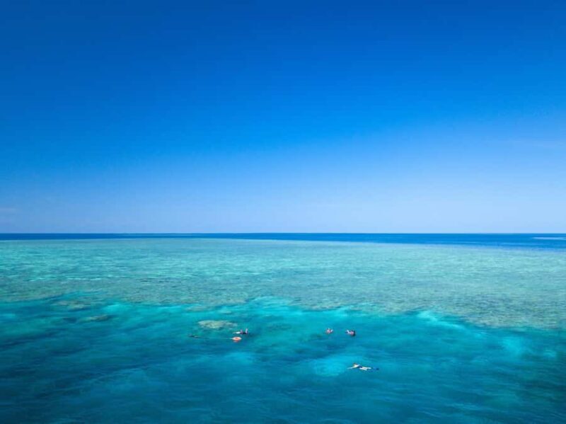 Cairns: Great Barrier Reef Overnight Snorkelling Boat Trip - Key Points