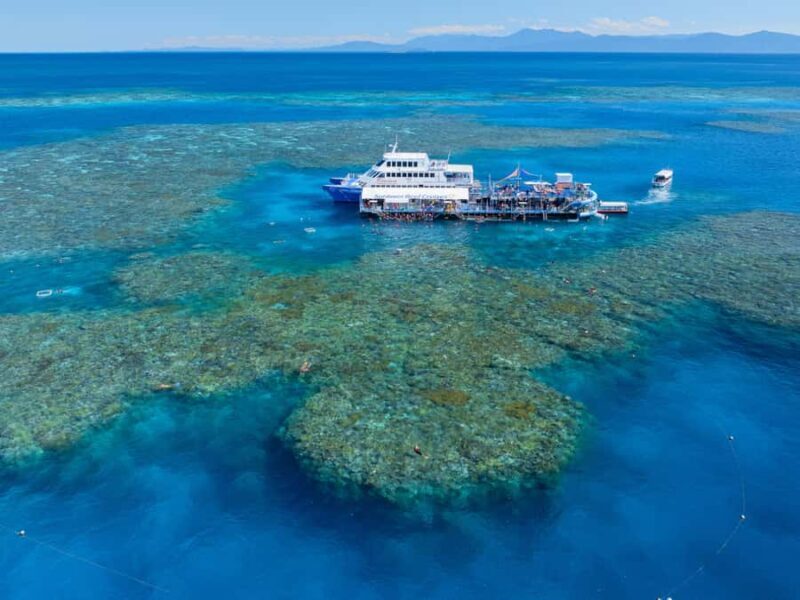 Cairns: Great Barrier Reef Pontoon, Travel by Helicopter - The Reef Experience: Activities and Highlights