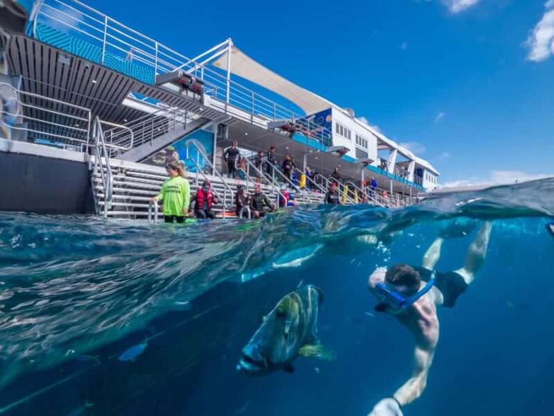 Cairns: Great Barrier Reef Pontoon with Water Activities - FAQ