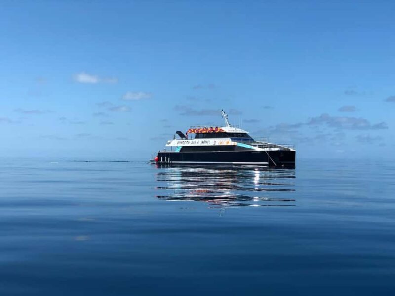 Cairns: Great Barrier Reef Premium Diving Full Day Tour - Key Points