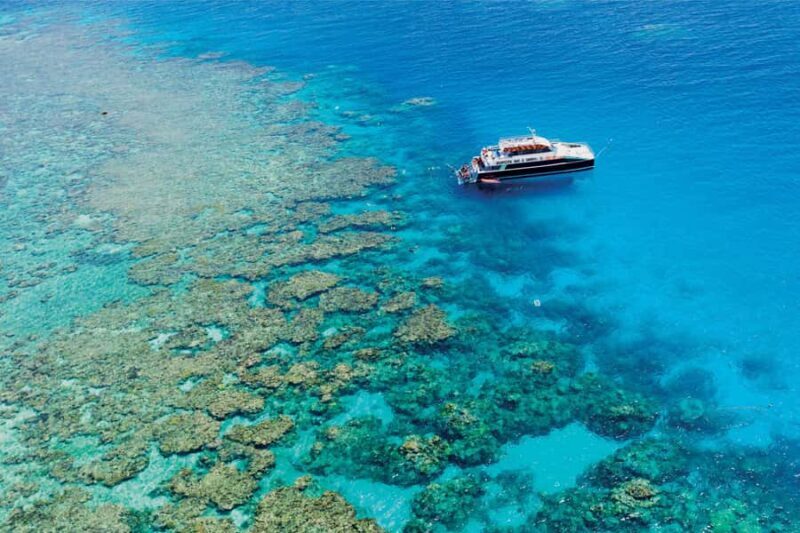 Cairns: Great Barrier Reef Premium Diving Full Day Tour - The Itinerary: What You Can Expect