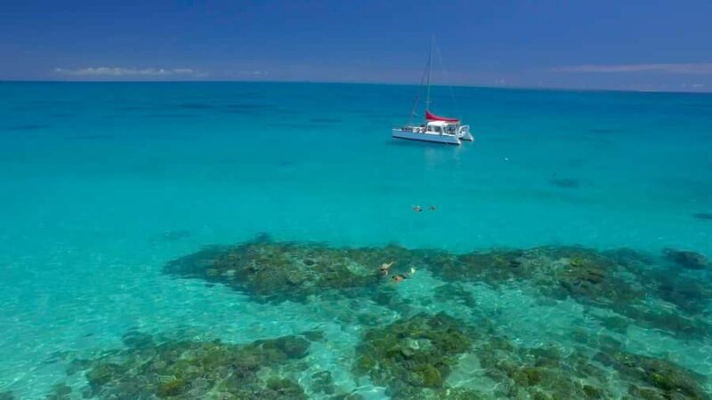 Cairns: Great Barrier Reef Snorkeling Tour with Lunch - Key Points