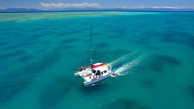 Cairns: Great Barrier Reef Snorkeling Tour with Lunch - A Deep Dive Into the Tour Experience