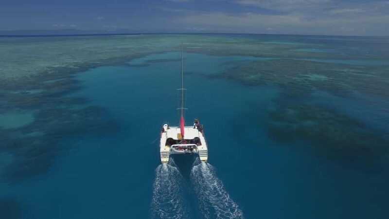 Cairns: Great Barrier Reef Snorkeling Tour with Lunch - Practical Details and What to Expect