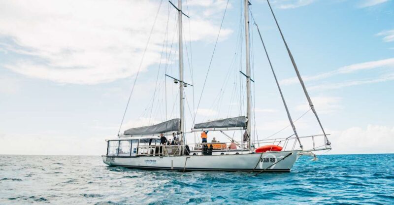 Cairns: Green Island & Great Barrier Reef Sailing Tour - Sailing & Return Journey
