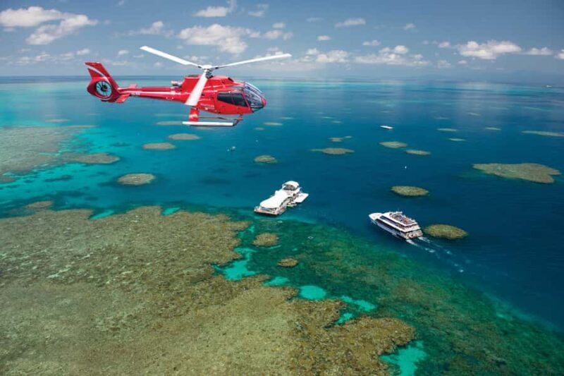 Cairns: Green Island + Moore Reef Activity Platform Combo - Who Would Love This Tour?