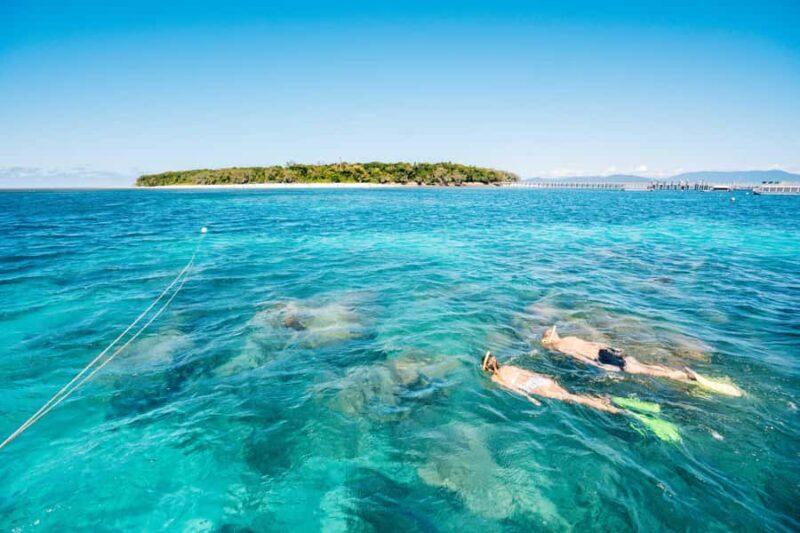 Cairns: Green Island Snorkelling or Glass Bottom Boat - A Comprehensive Look at the Green Island Tour