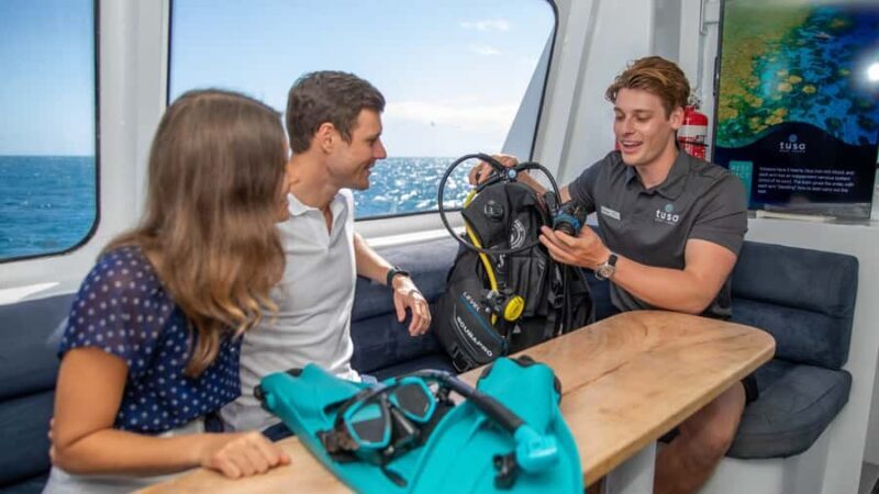 Cairns: Half-Day Outer Reef Snorkel Tour - What to Expect from the Cairns Outer Reef Snorkel Tour