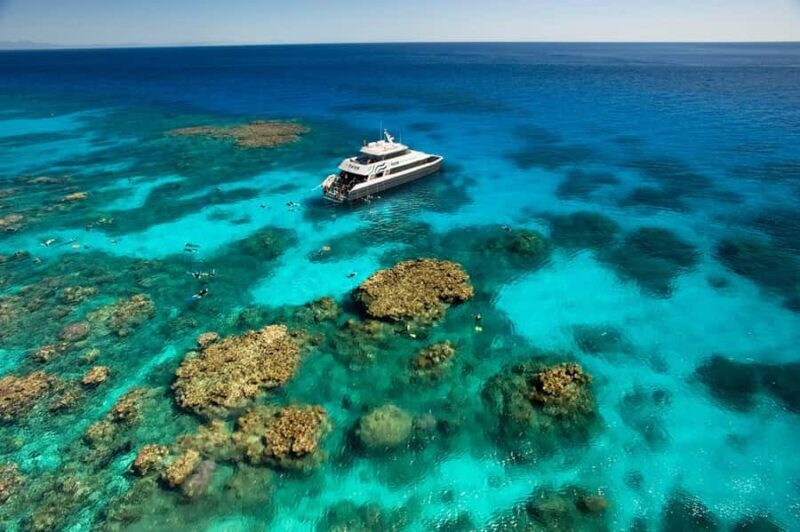 Cairns: Half-Day Outer Reef Snorkel Tour - Why Choose This Tour?