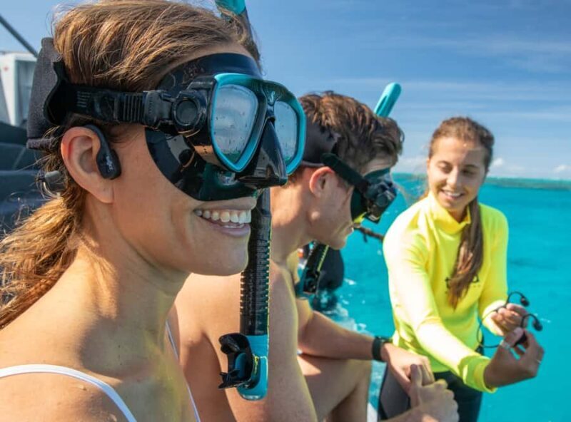 Cairns: Half-Day Outer Reef Snorkel Tour - Who Is This Tour Best For?
