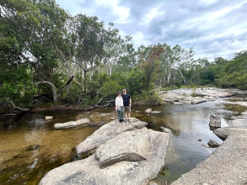 Cairns: Half-Day Premium 4WD Rainforest & Waterfall Tour - Value & Overall Experience