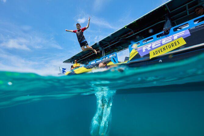 Cairns Half Day Tour a Great Barrier Reef Snorkeling Experience - An Introduction to the Experience