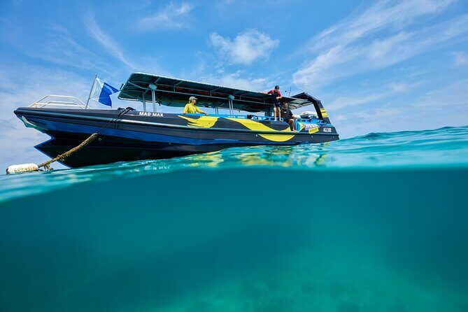 Cairns Half Day Tour a Great Barrier Reef Snorkeling Experience - Why This Tour Offers Good Value