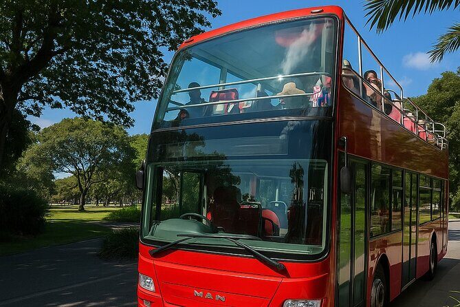 Cairns Hop on Hop Off - In-Depth Look at the Cairns Hop-On, Hop-Off Experience