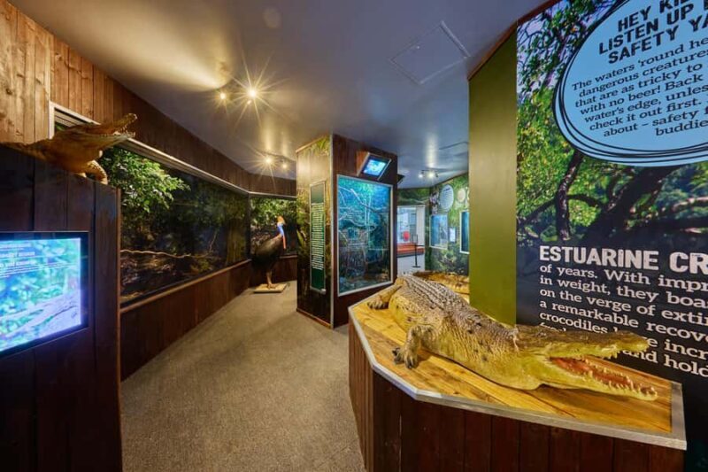 Cairns Koalas and Creatures Entry Ticket with Koala Photo - An Overview of Cairns Koalas and Creatures