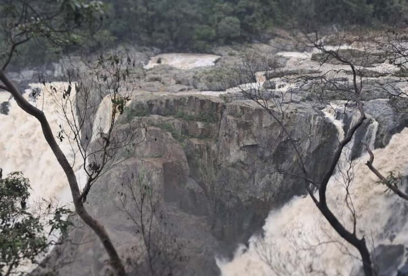 Cairns: Kuranda Scenic Railway & Skyrail Small Group Tour - Exploring Cairns: A Unique Rainforest Adventure