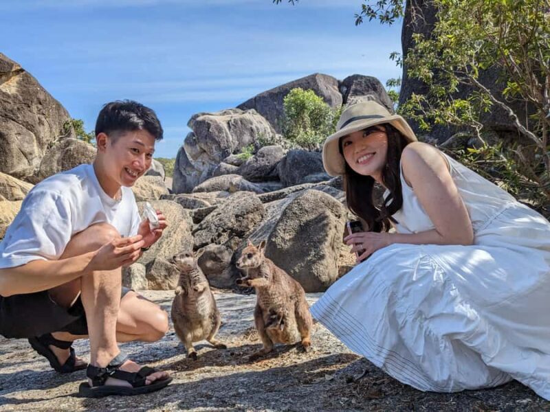 Cairns: Mareeba Wildlife and Coffee Tour - Key Points