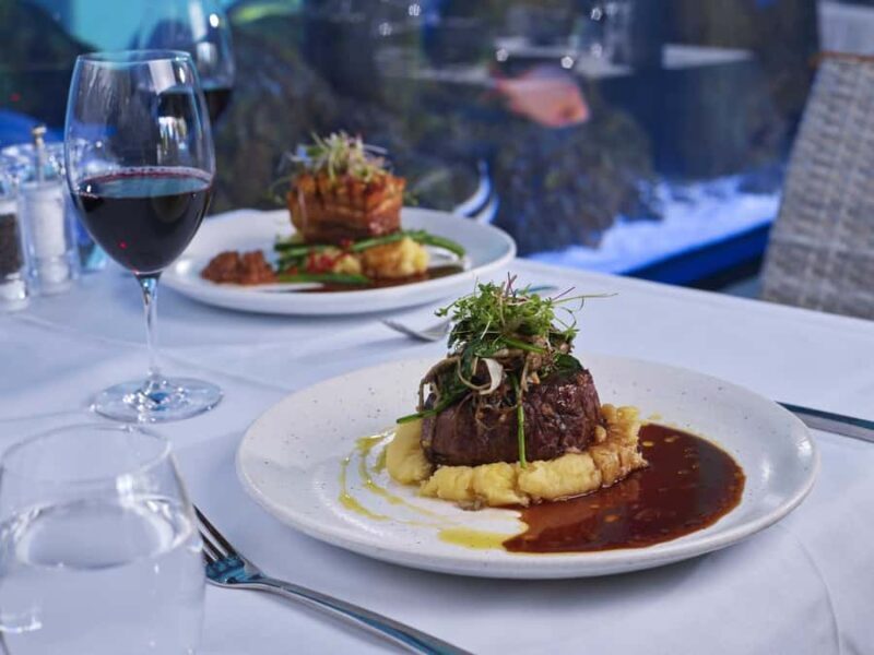 Cairns: Night at the Aquarium Guided Tour & 2 Course Dinner - An In-Depth Look at the Experience