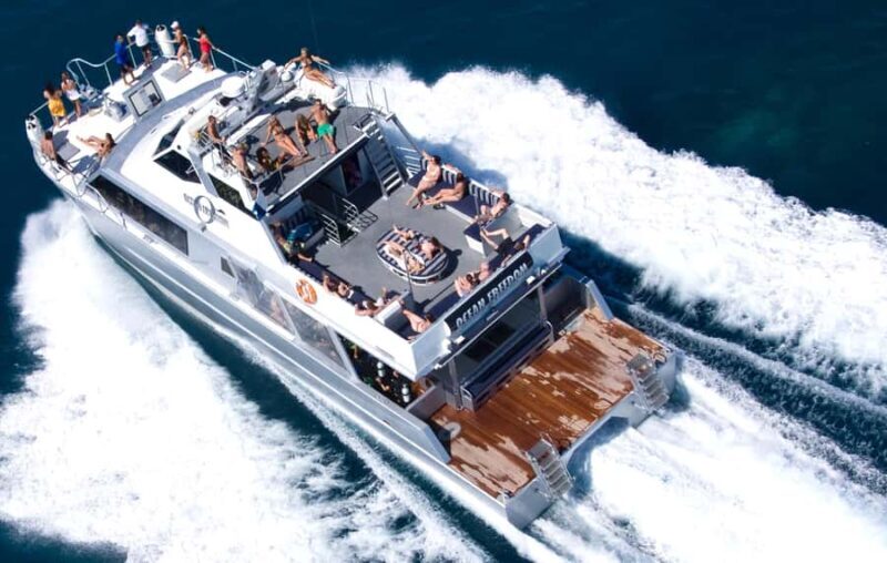 Cairns: Outer and Coral Cay Snorkel and Dive Cruise - Practical Details: Transportation, Duration, and Group Size