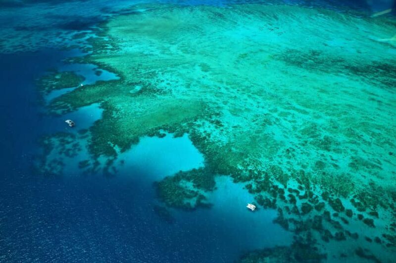 Cairns: Outer Edges of The Great Barrier Reef Scenic Flight - The Practicalities: What to Know Before You Book