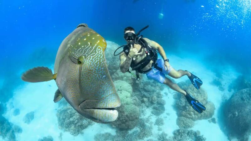 Cairns: Outer Great Barrier Reef Full-Day Tour with Lunch - The Sum Up