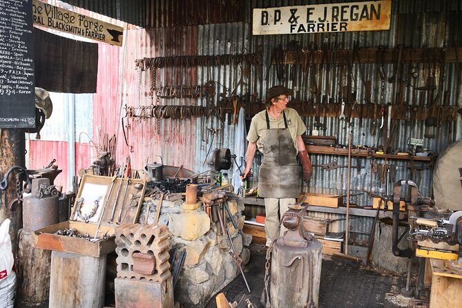 Cairns Paronella Park Herberton and Wild life Tour - What to Expect from the Tour