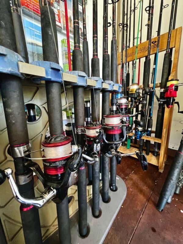 Cairns: Pontoon Boat Hire with Optional BBQ and Fishing Hire - Who Should Consider This Experience?