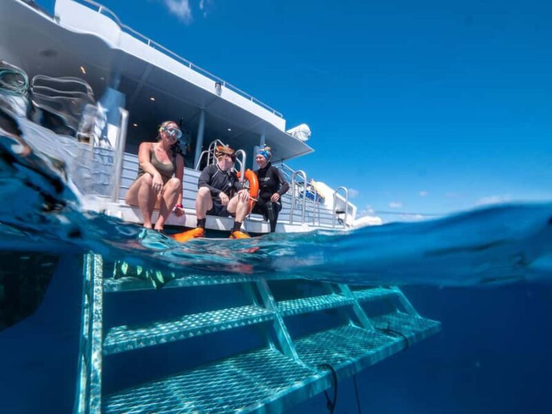 Cairns: Premium Snorkelling and Diving Reef Day Trip - Who is This Tour Best For?