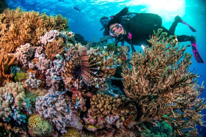 Cairns: Pro Dive Great Barrier Reef 3 Day/2 Night Dive Trip - Accommodation and Onboard Comfort