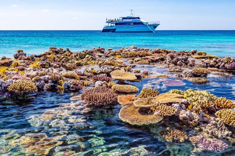 Cairns: Pro Dive Great Barrier Reef 3 Day/2 Night Dive Trip - The Sum Up: Is It Worth It?