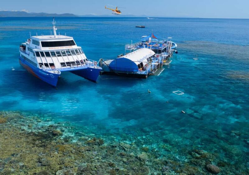 Cairns: Reef Zoom Half Day Helicopter & Snorkeling Tour - The Authenticity of the Reef Activities
