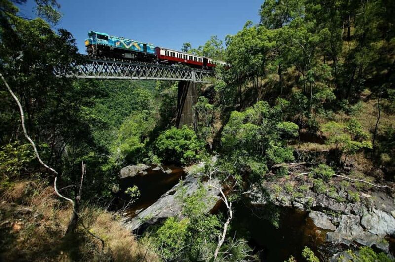 Cairns: Skyrail, Kuranda, and Rail Tour with Hotel Transfers - Authentic Insights from Past Travelers