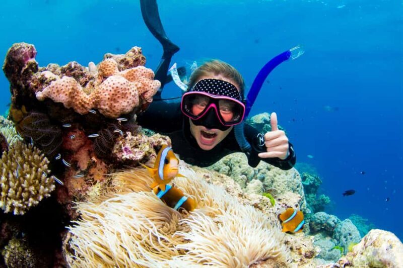 Cairns: Snorkelling and Diving Reef Day Trip - An Authentic Day on the Great Barrier Reef with Divers Den