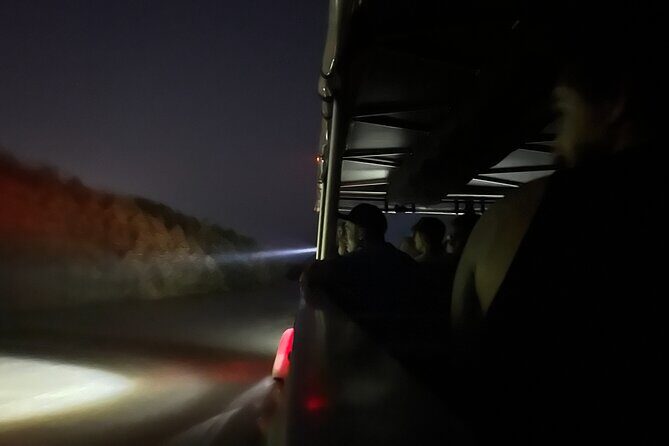 Cairns Sunset Cruise with Indigenous Culture and Canapes - Who Will Love This Tour?