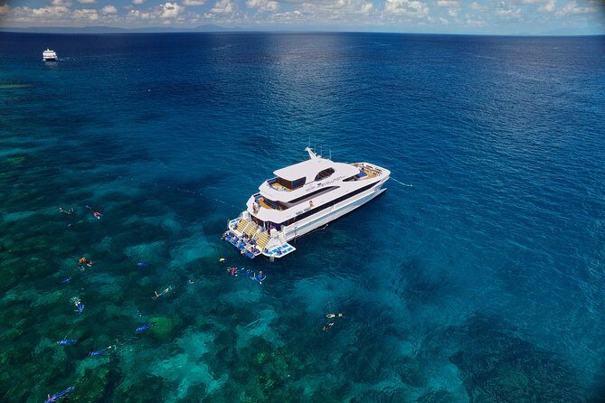 Cairns Super Saver: Reef Cruise, Daintree & Kuranda Rail/Skyrail - Practical Details and Tips