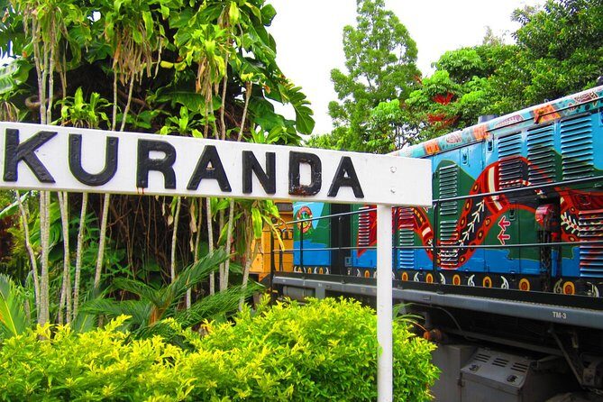 Cairns Super Saver: Reef Cruise, Daintree & Kuranda Rail/Skyrail - The Sum Up: Is This Tour for You?