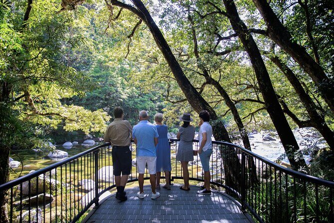 Cairns to Daintree Cape Tribulation 3 Day Tour via Port Douglas - FAQ