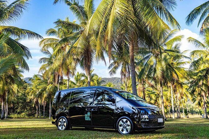 Cairns to Mission Beach ONE WAY Private Transfer 6 pax - The Journey from Cairns to Mission Beach: What to Expect