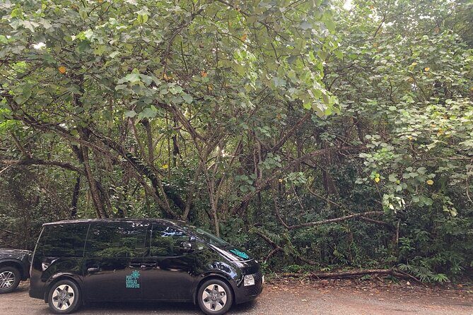 Cairns to Mission Beach ONE WAY Private Transfer 6 pax - Final Thoughts