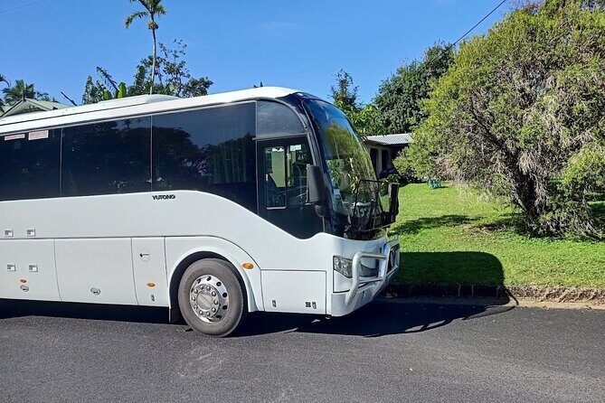 Cairns to Port Douglas Private Transfer - A Closer Look at the Cairns to Port Douglas Private Transfer Experience