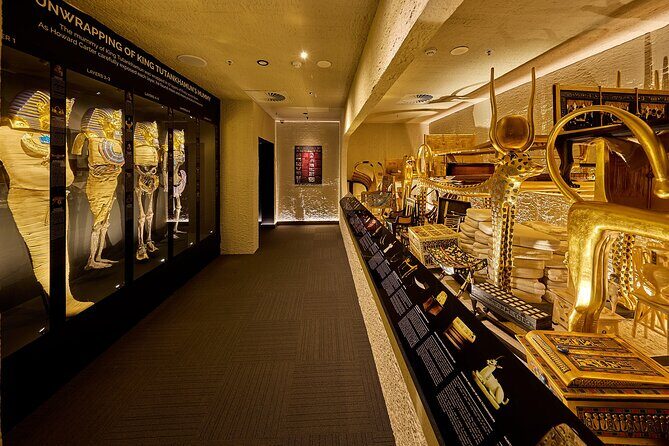 Cairns Tomb Of The Pharaohs General Admission Ticket - Key Points