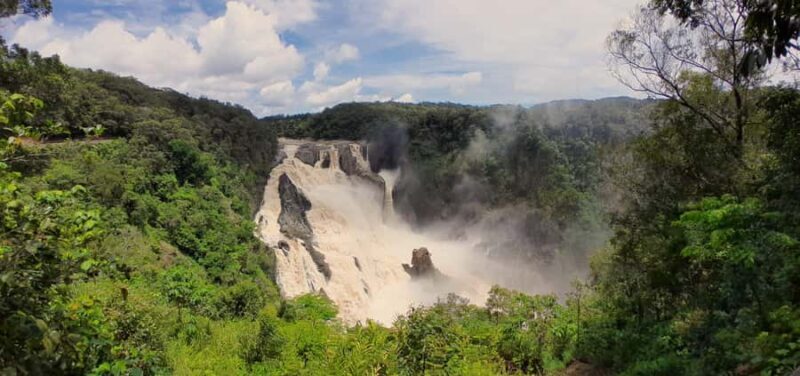 Cairns: Waterfall, Wetlands and Skyrail - Barron Falls and Indigenous Heritage