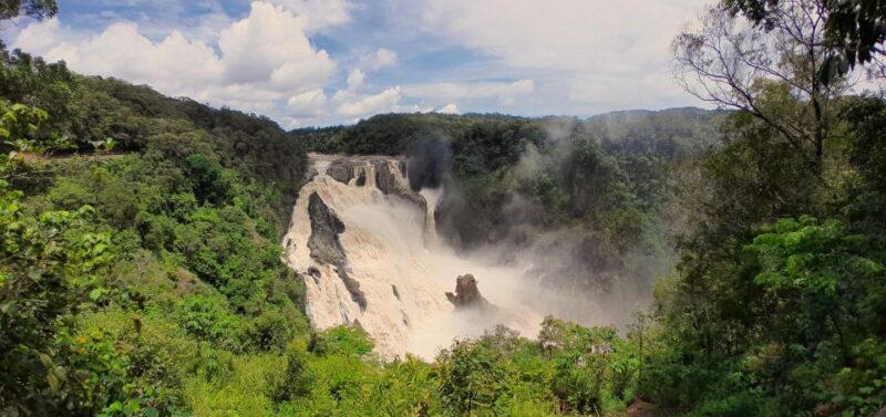 Cairns: Waterfall, Wetlands and Skyrail - Practical Details and Value