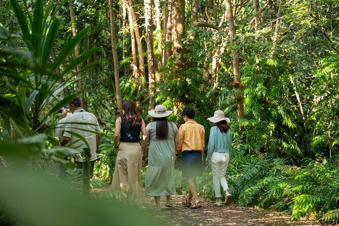 Cairns: Waterfall, Wetlands & Kuranda Scenic Rail All Inclusive - Practical Details and What to Expect