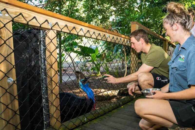 Cairns: Wildlife Habitat, Mossman Gorge, and Daintree Tour - Key Points