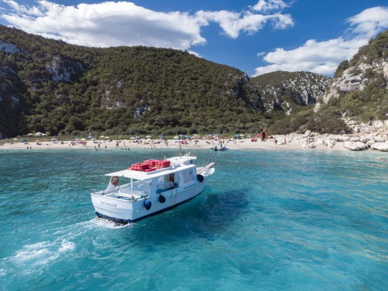 Cala Gonone: Boat ride to Cala Luna beach - Who Should Consider This Tour?