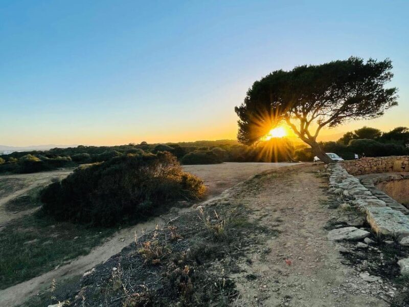 Cala Millor: AdventureDate, fun game, city walk for couples - FAQ