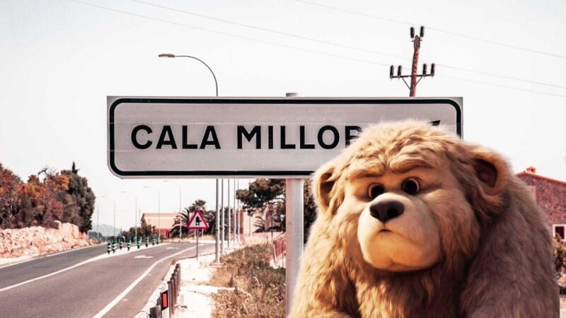Cala Millor: Magical Creatures of Cala Millor, family game - What We Learned From Reviews