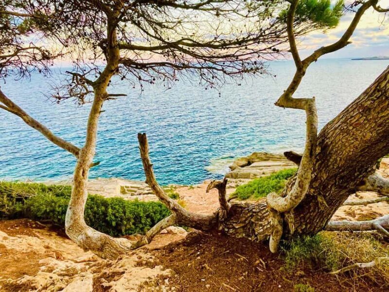 Cala Millor: real treasure hunt in natural reserve, fun walk - A Detailed Look at the Cala Millor Treasure Hunt Experience