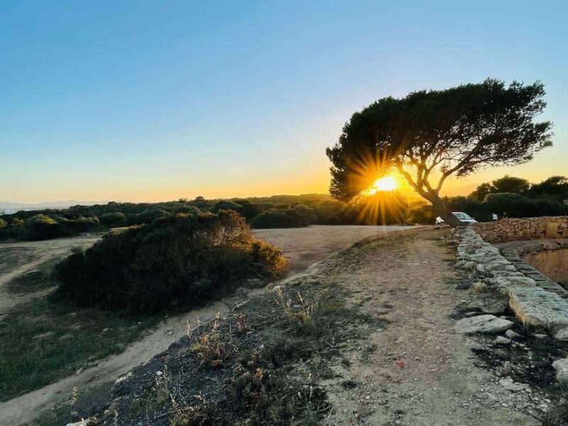 Cala Millor: real treasure hunt in natural reserve, fun walk - Final Verdict